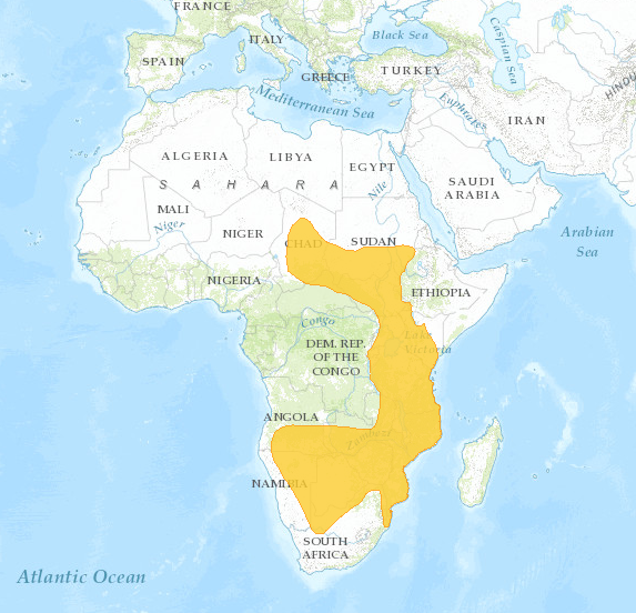 Groundpangolin-Distribution - Pangolin Specialist Group