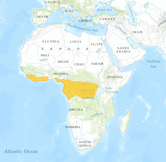 Longtailedpangolin-Distribution - Pangolin Specialist Group